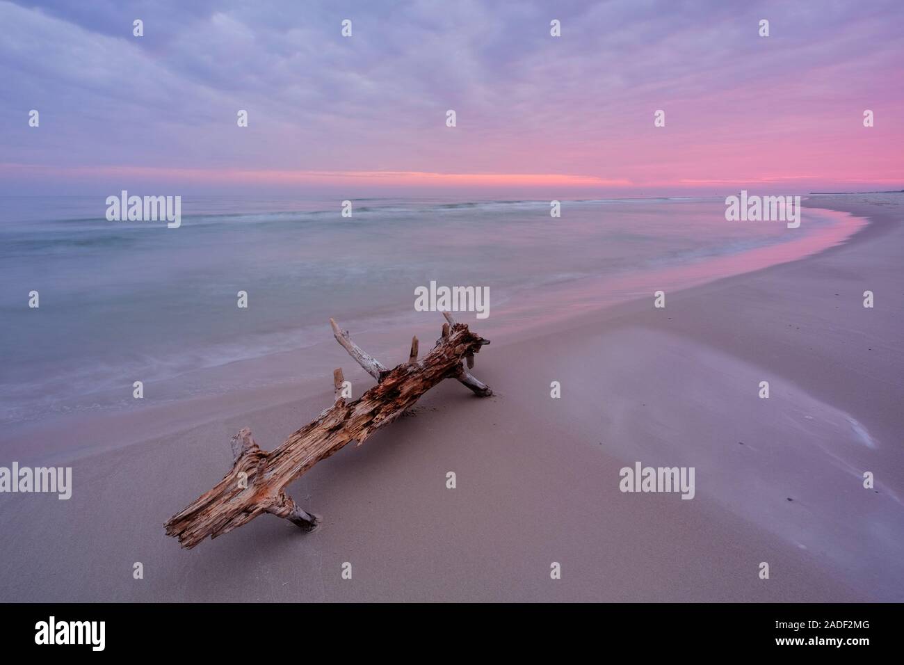 Lebie hi-res stock photography and images - Alamy