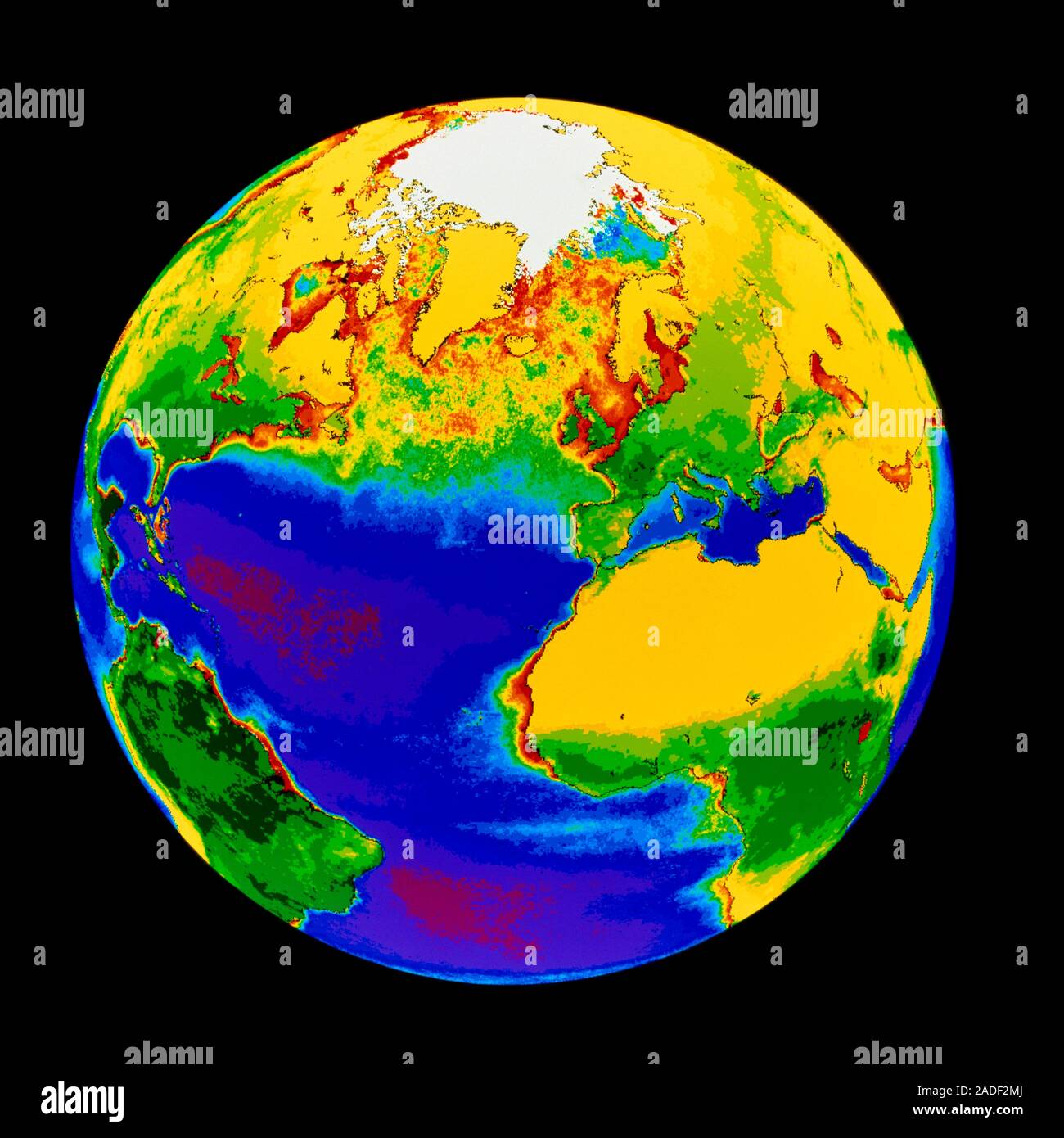 Global biosphere. Coloured satellite image of Earth's biosphere ...