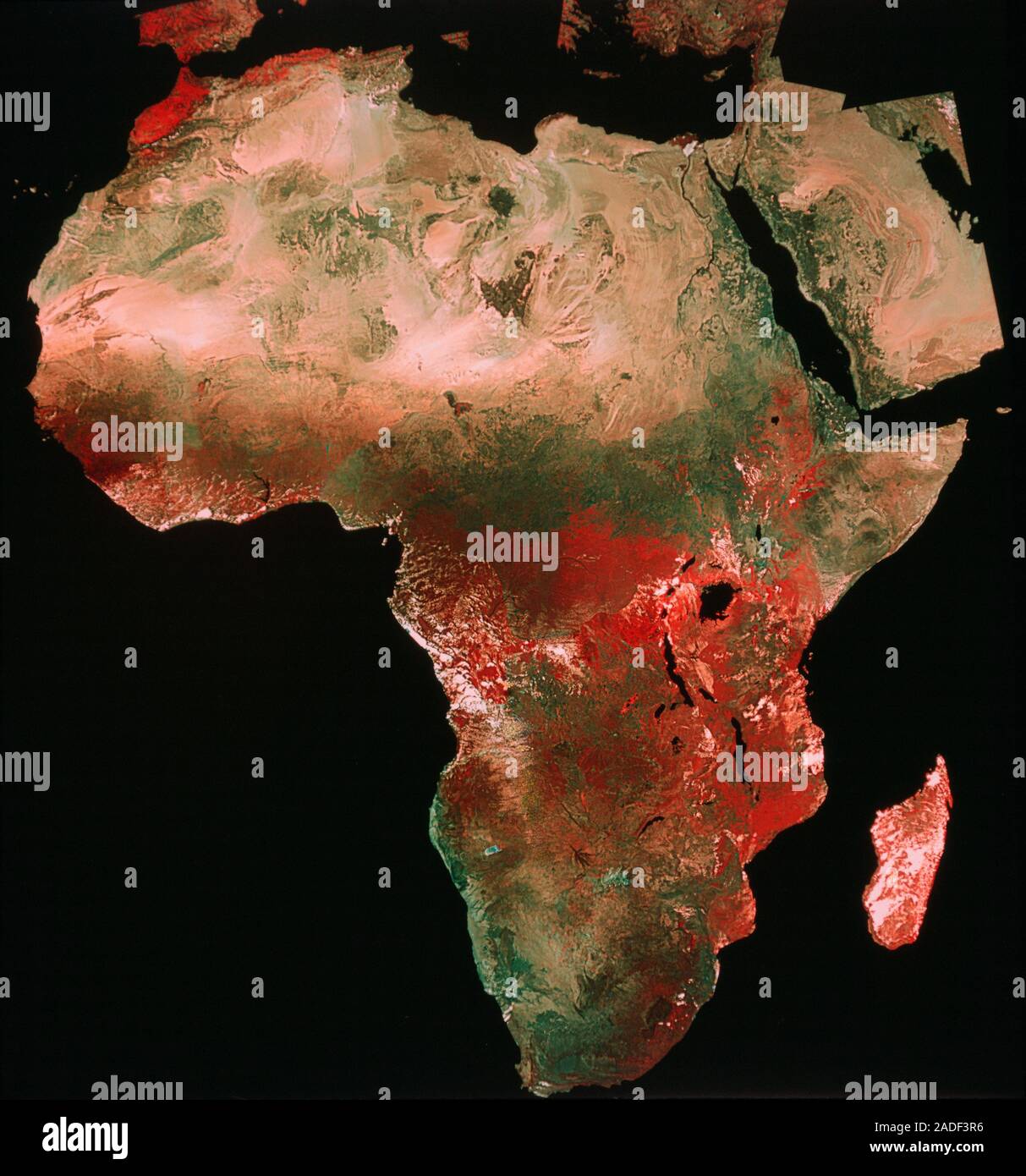 Satellite image of Africa showing the Mediterranean at top, the Arabian ...