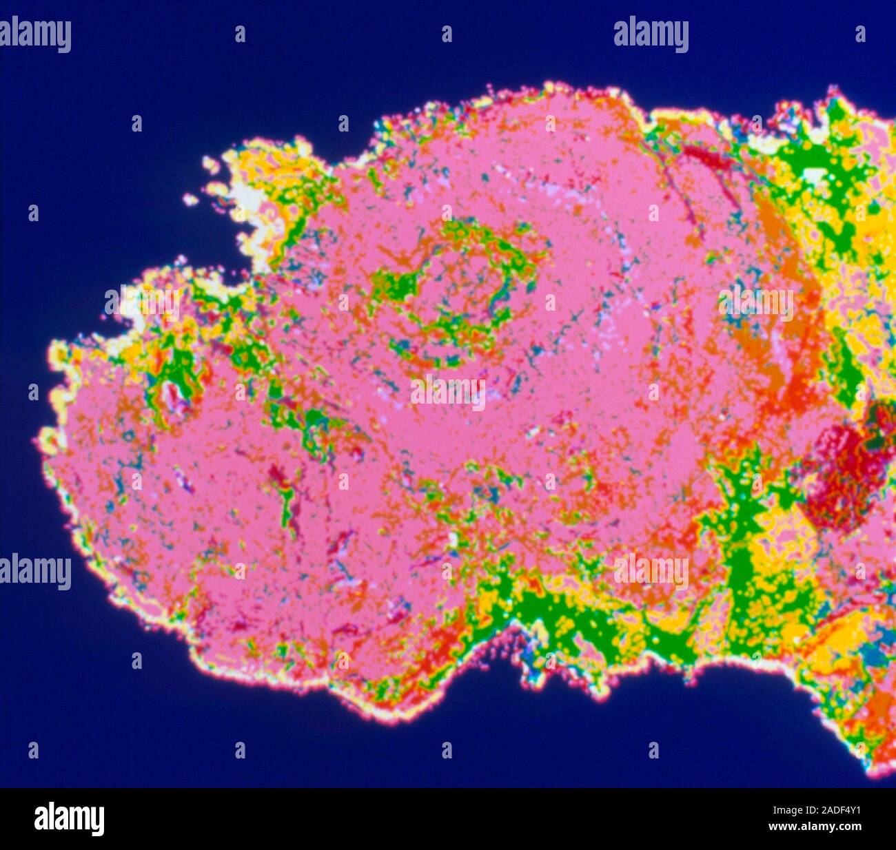 Extinct volcano revealed. Coloured map of land use at Ardnamurchan ...
