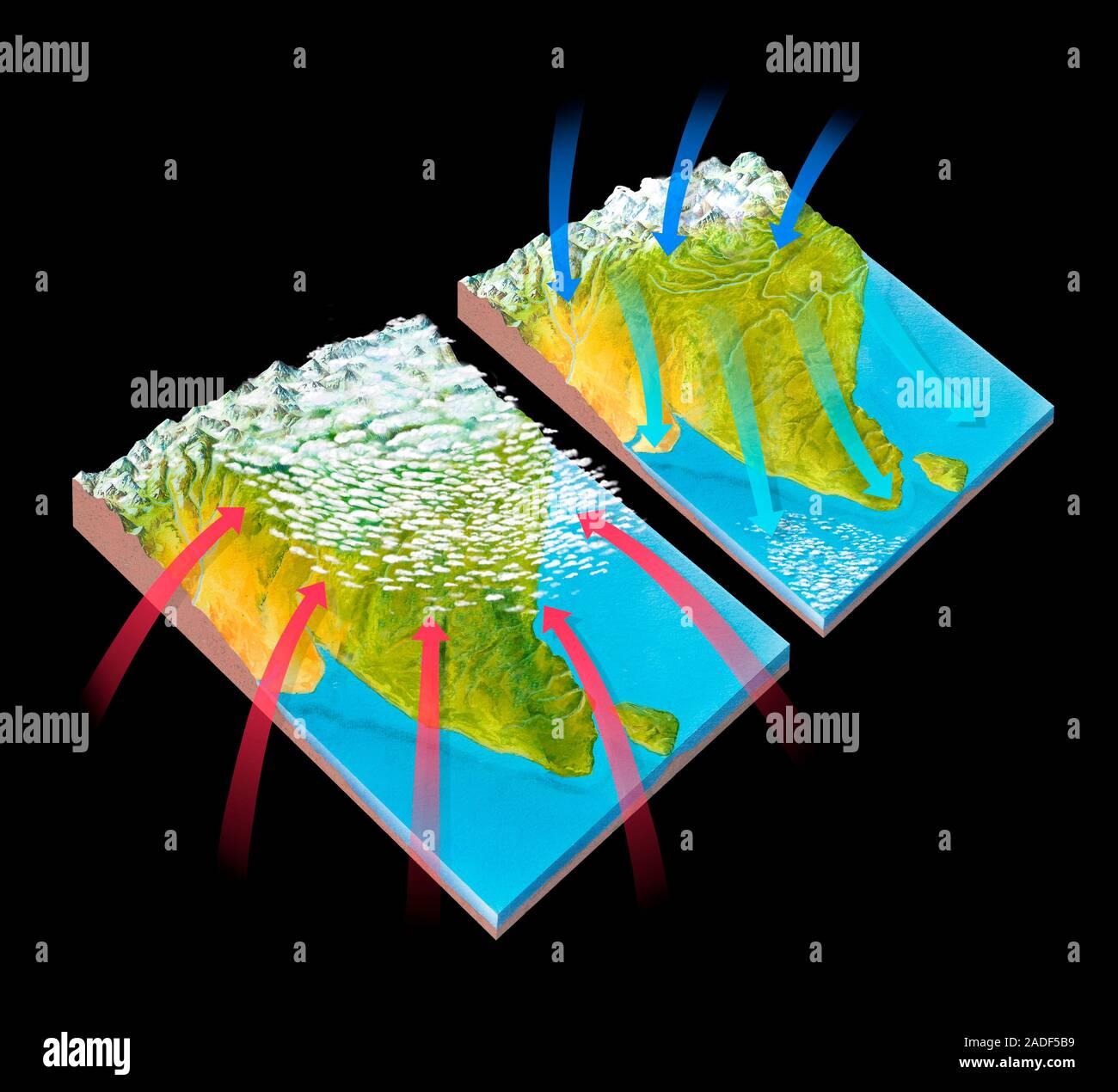 Monsoon winds. Artwork of the monsoon winds in summer (left) and winter ...