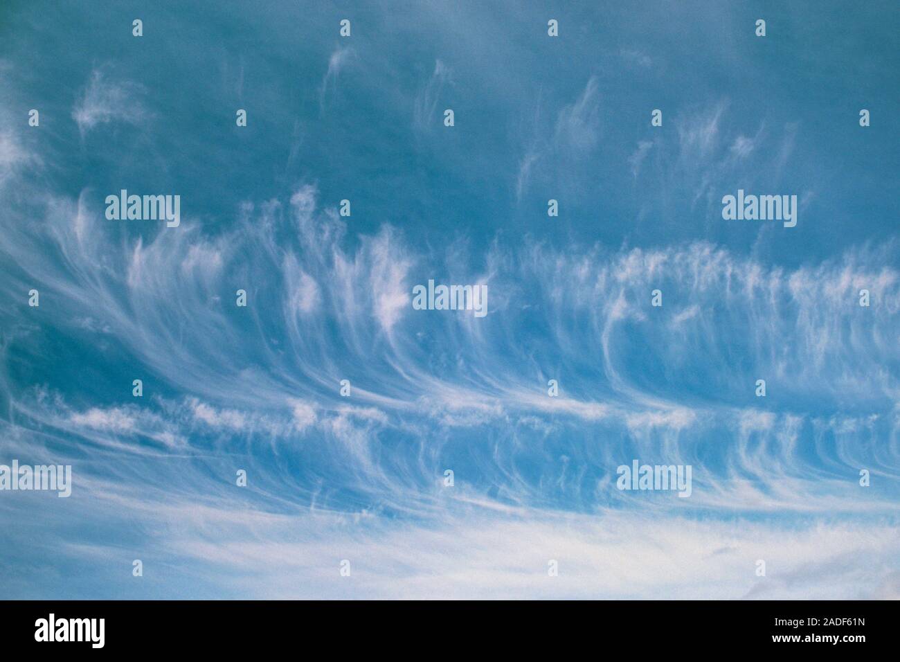 Cirrus cloud. Lines of wispy, fibrous cirrus cloud in the sky. Known ...