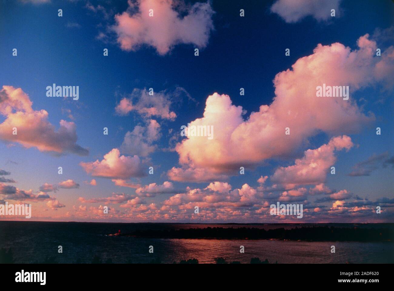 Cumulus cloud. Sky filled with fair-weather" cumulus clouds over water ...