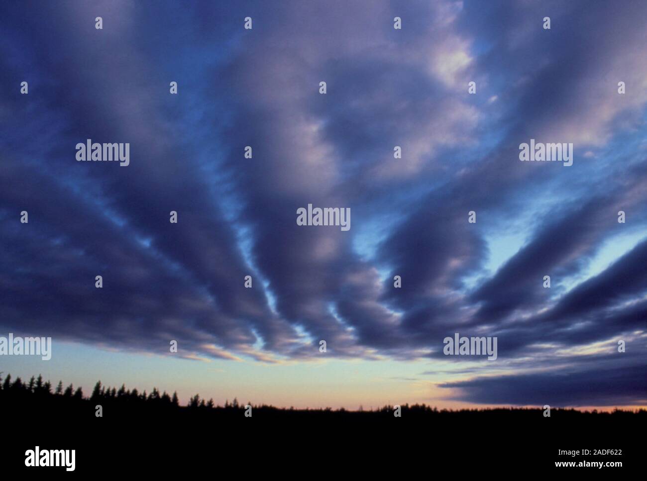 Stratocumulus clouds. Long streaks of strato- cumulus at sunset. This ...