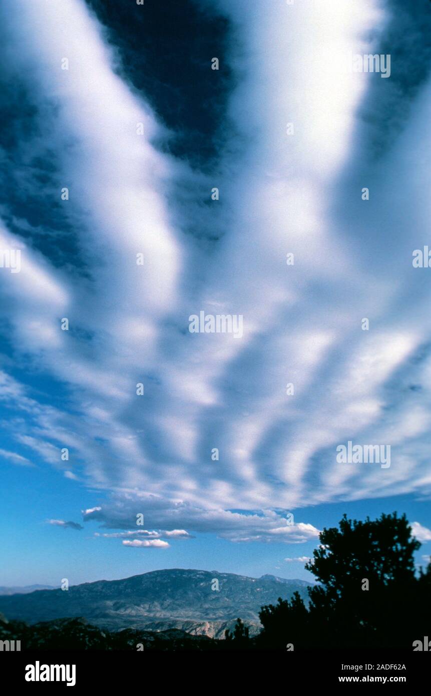 Stratocumulus clouds. Long streaks of stratocumulus over distant ...