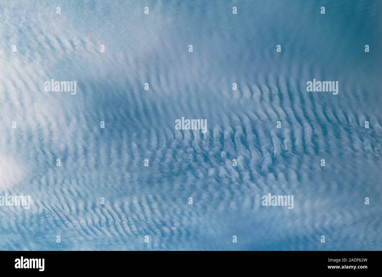 Cirrocumulus clouds. Sky filled with lines of small, cirrocumulus ...