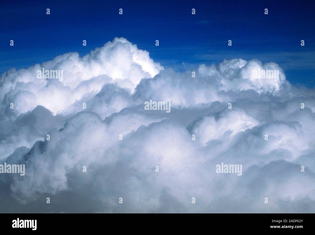 Cumulus cloud. A bank of cumulus clouds with typical cotton wool ...