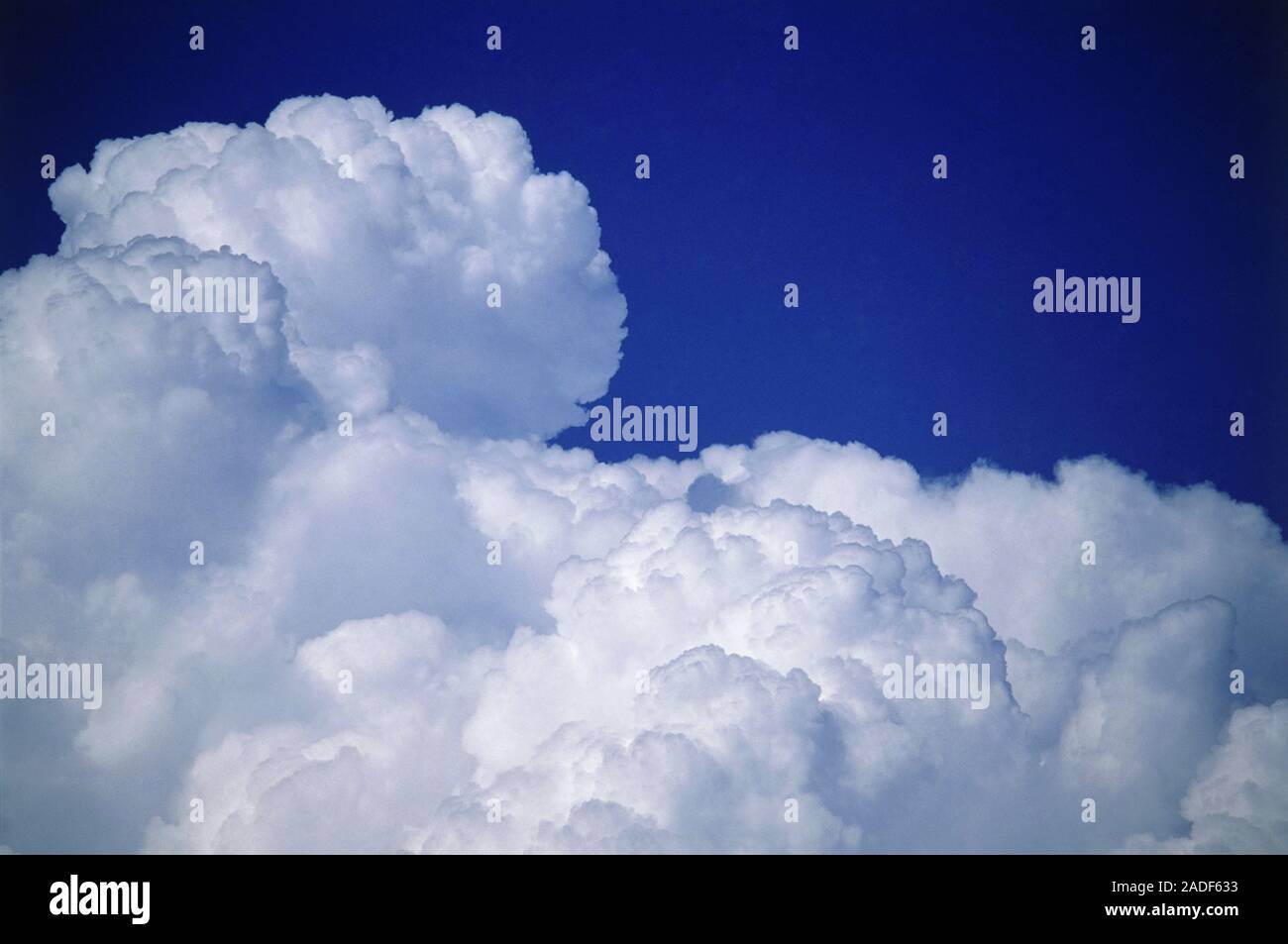 Cumulus clouds. View of the tops of cumulus clouds. Cumulus clouds ...
