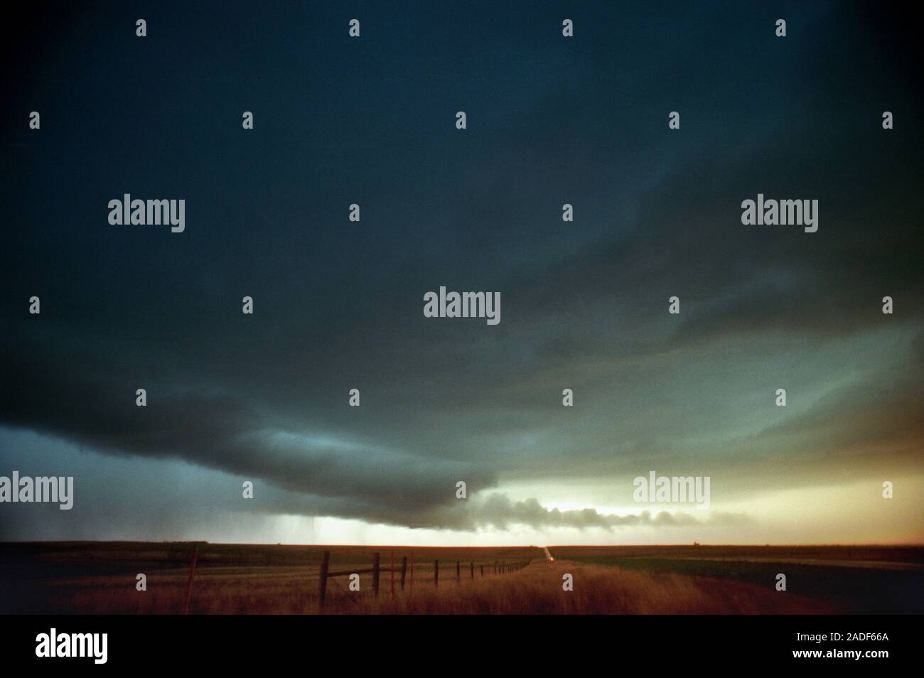 Beaver tail cloud feeding into a tornadic thunderstorm. Beaver tail ...