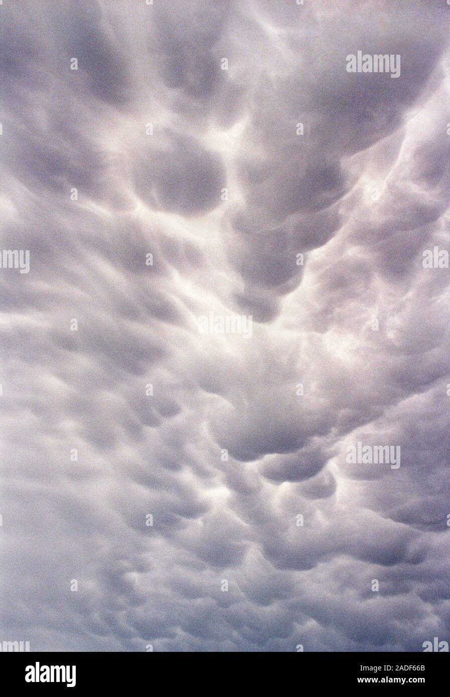 Mammatus cloud. These pouch-shaped clouds usually form on the underside ...