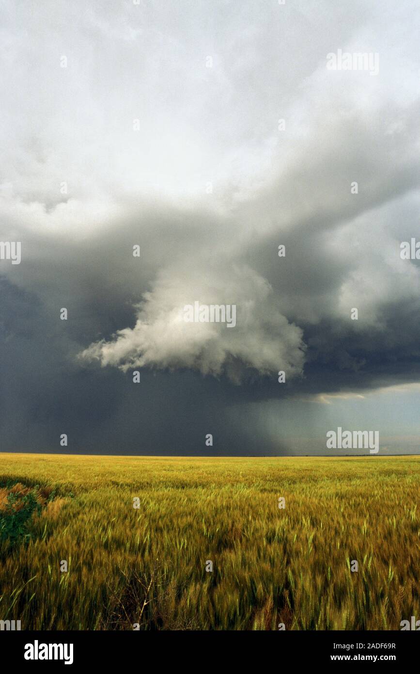 Scud cloud forming beneath a thunderstorm. This is a low, detached ...