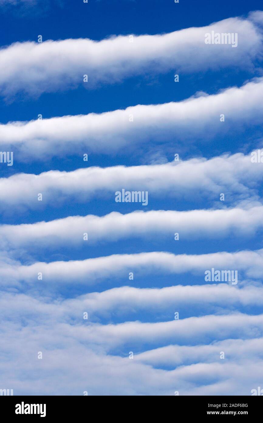 Altocumulus undulatus clouds. This cloud formation consists of parallel ...