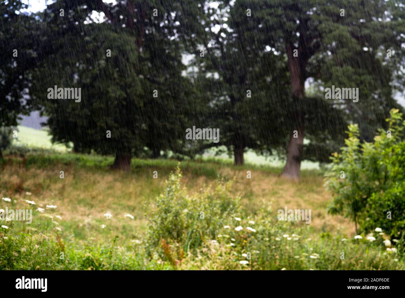 Rain falling. Photographed, in the Taw valley, Devon, UK Stock Photo ...