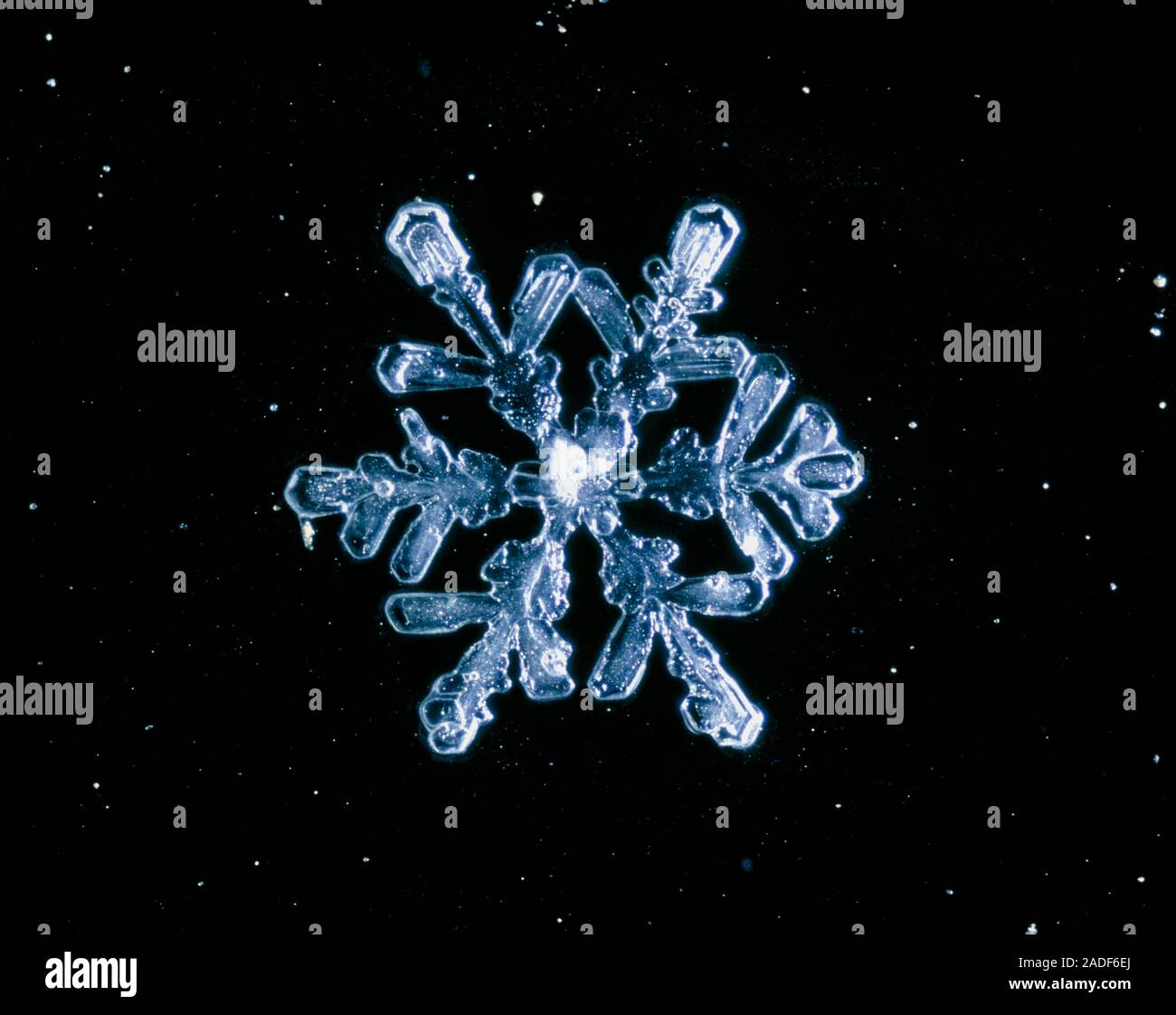 Macrophotograph of a snow crystal showing characteristic hexagonal ...
