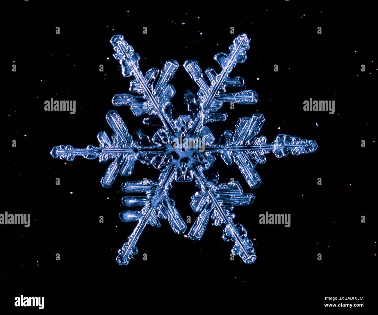 Macrophotograph of a snow crystal showing characteristic hexagonal ...