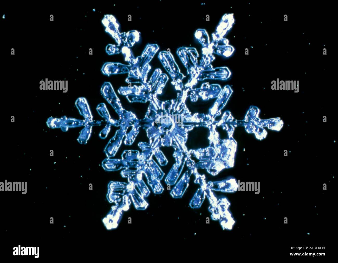 Macrophotograph of a snow crystal showing characteristic hexagonal ...