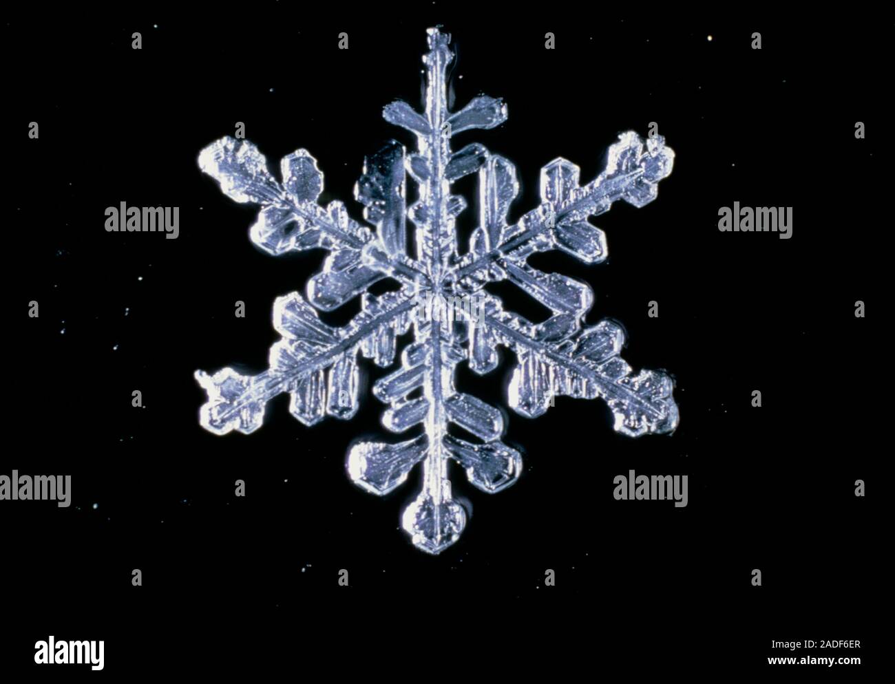 Macrophotograph of a snow crystal showing characteristic hexagonal ...