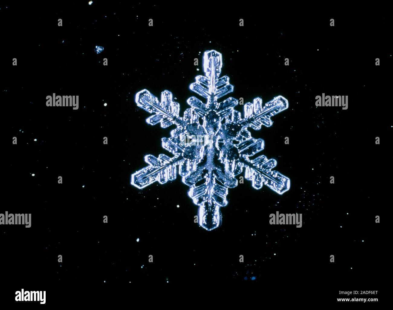Macrophotograph of a snow crystal showing characteristic hexagonal ...