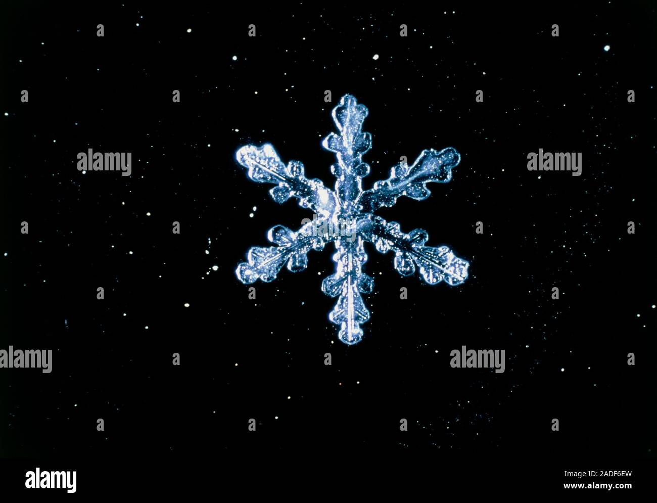 Macrophotograph of a snow crystal showing characteristic hexagonal ...