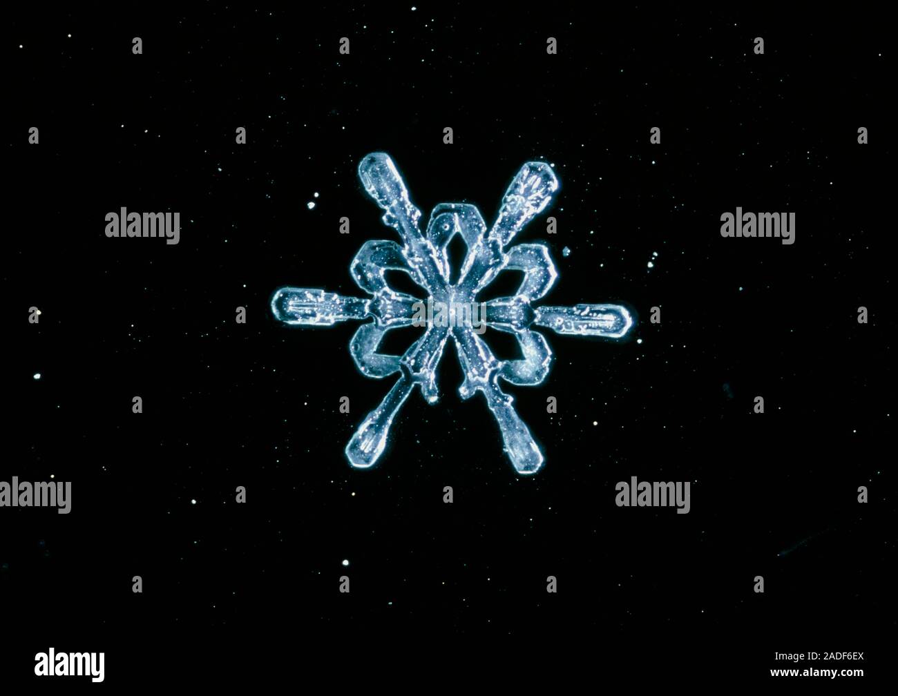 Macrophotograph of a snow crystal showing characteristic hexagonal ...
