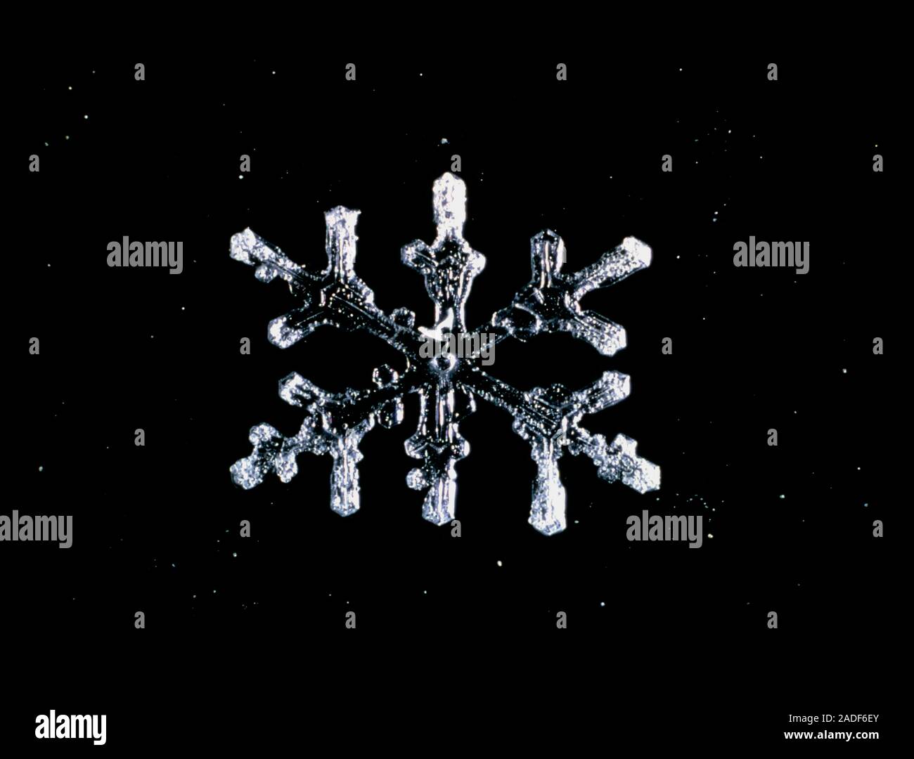 Macrophotograph of a snow crystal showing characteristic hexagonal ...