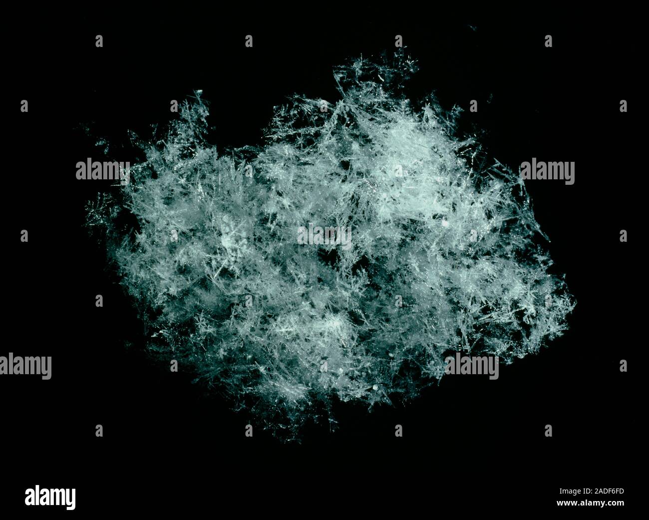 Cluster of snow flakes, with each crystal exhibiting characteristic ...