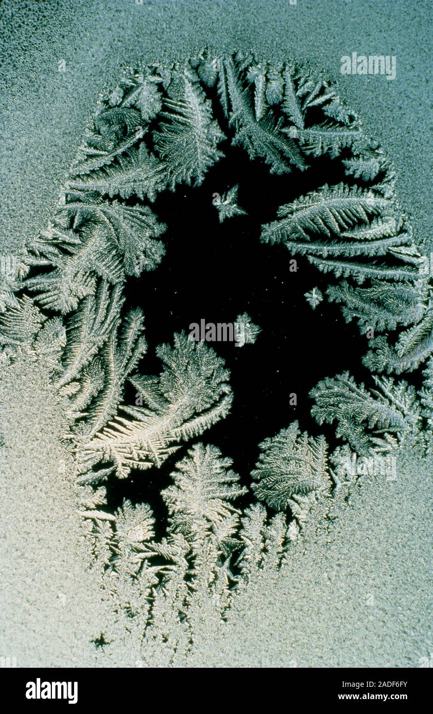 Flowers" of hoar-frost on a window pane. When the atmosphere is full of ...