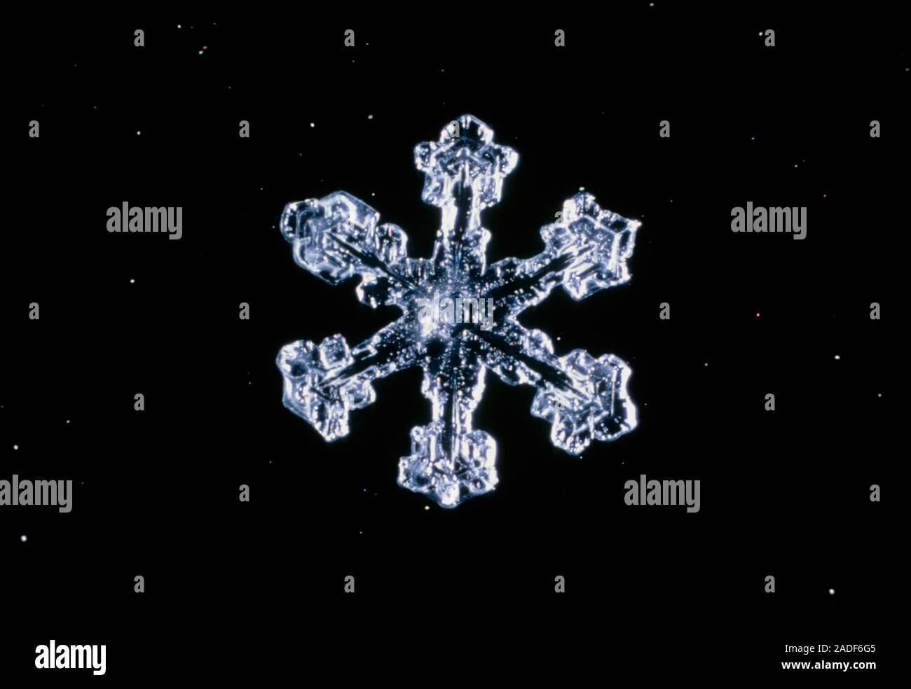 Macrophotograph of a snow crystal showing characteristic hexagonal ...