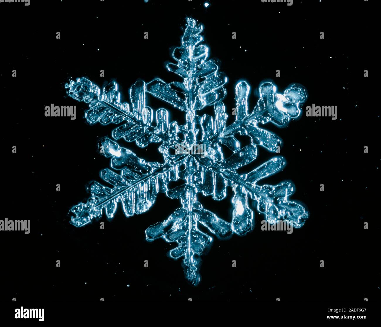 Macrophotograph of a snow crystal showing characteristic hexagonal ...