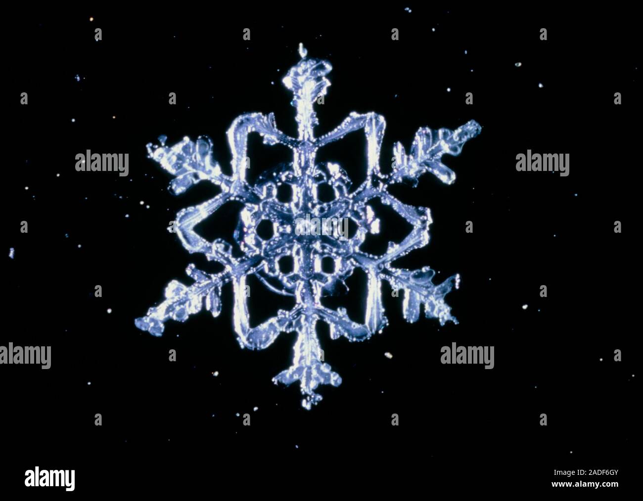 Macrophotograph of a snow crystal showing characteristic hexagonal ...