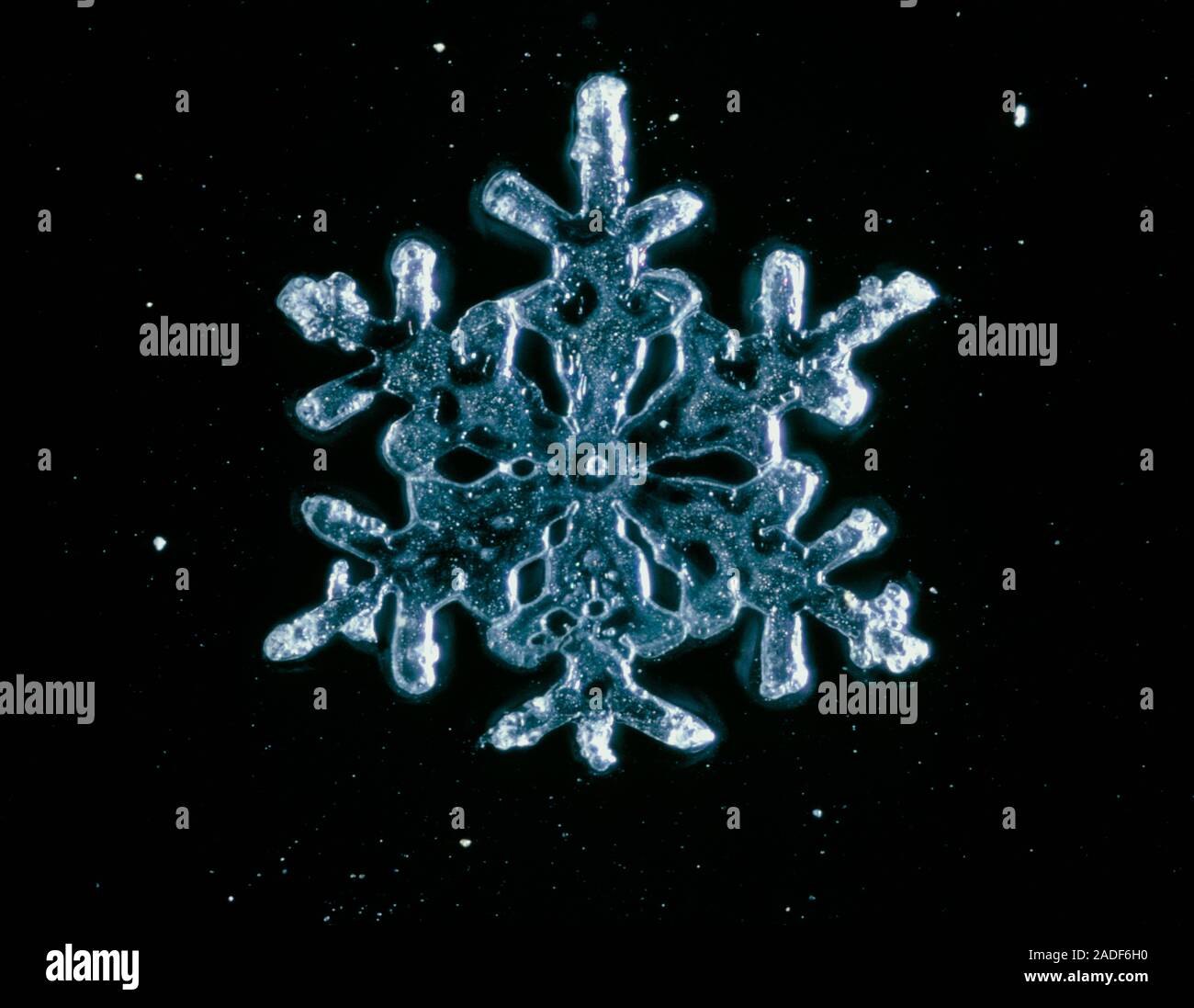 Macrophotograph of a snow crystal showing characteristic hexagonal ...