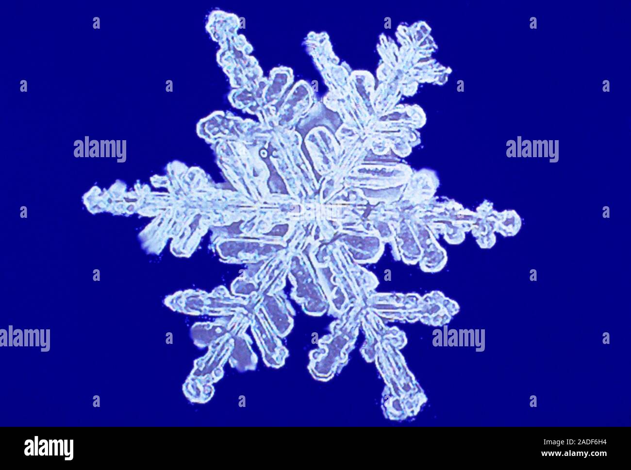 Snowflake. Light micrograph of a snow crystal. Snow crystals exhibit a ...