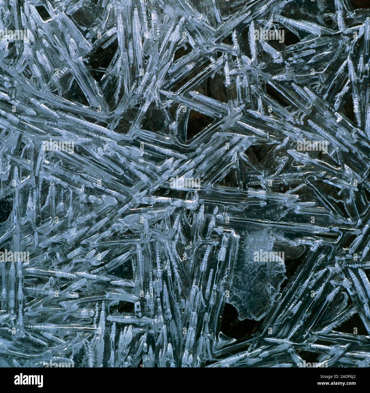 Ice crystals. View of several elongated, interlocking ice crystals ...