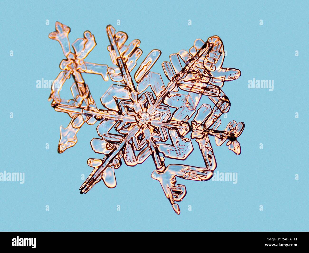 Dendritic snowflake, light micrograph. Snowflakes are symmetrical ice ...
