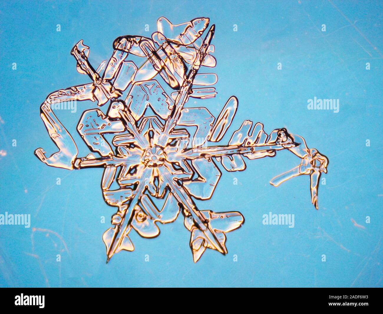 Snowflake, light micrograph. Snowflakes are symmetrical ice crystals ...