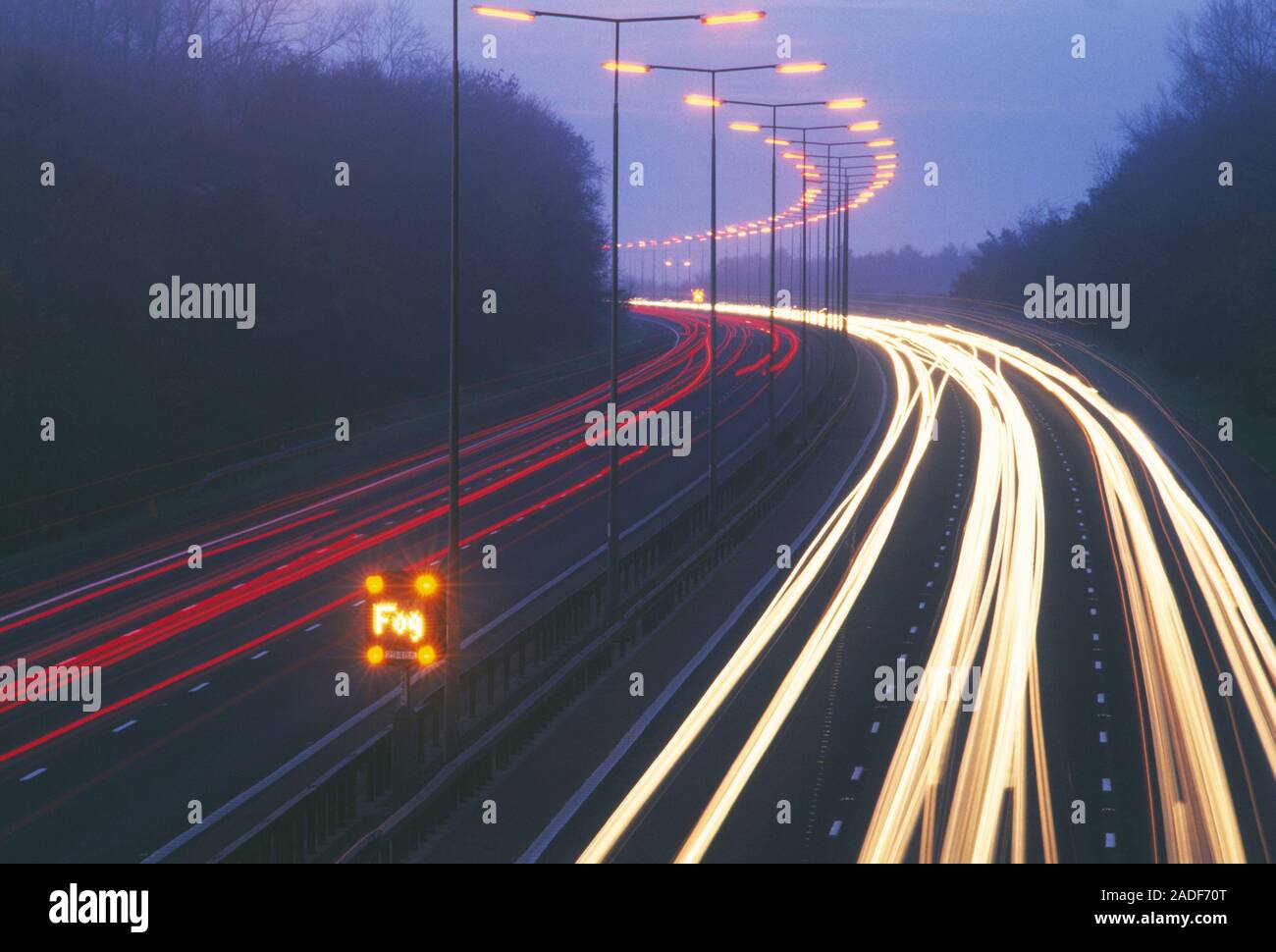 Motorway fog at dusk. Time-exposure image of the lights of motorway ...