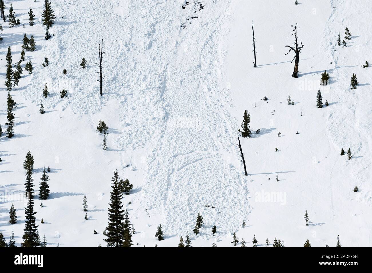 Avalanche. Accumulation of snow on a mountainside after an avalanche ...