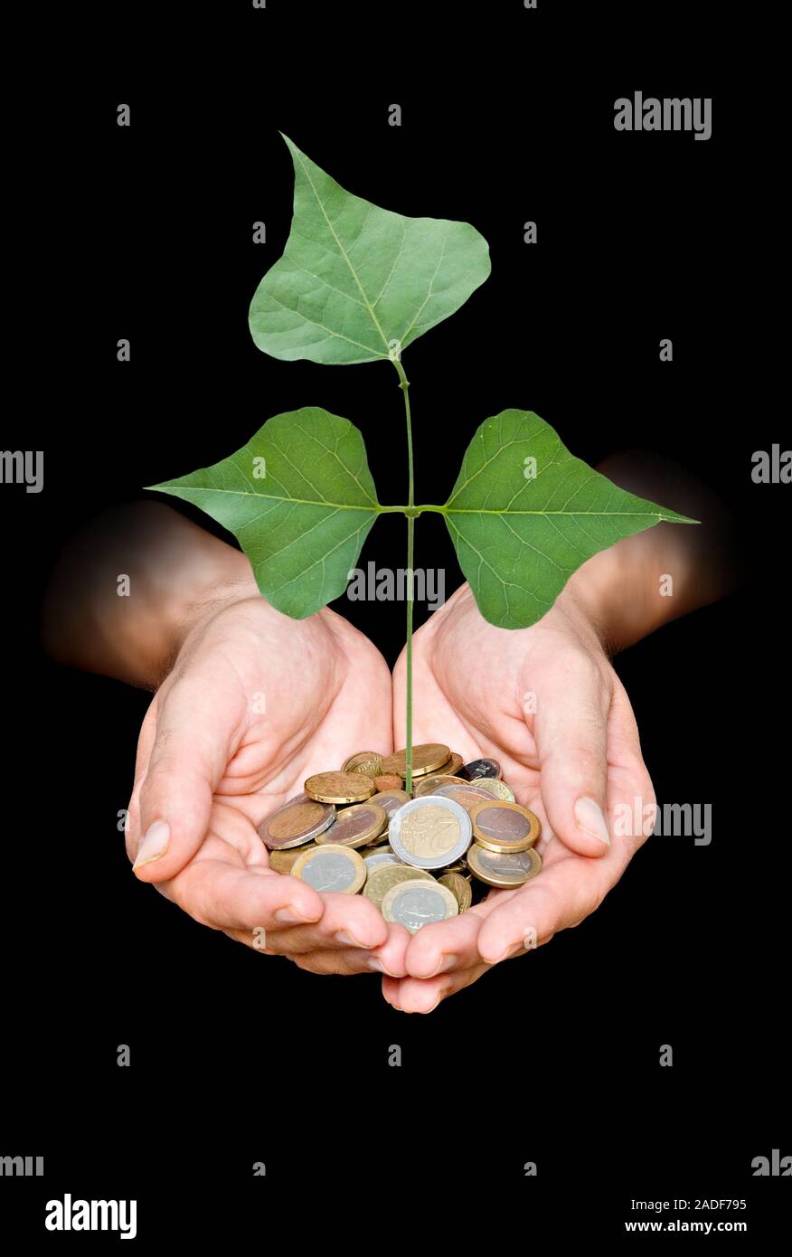 Hand with tree growing from pile of coins Stock Photo - Alamy