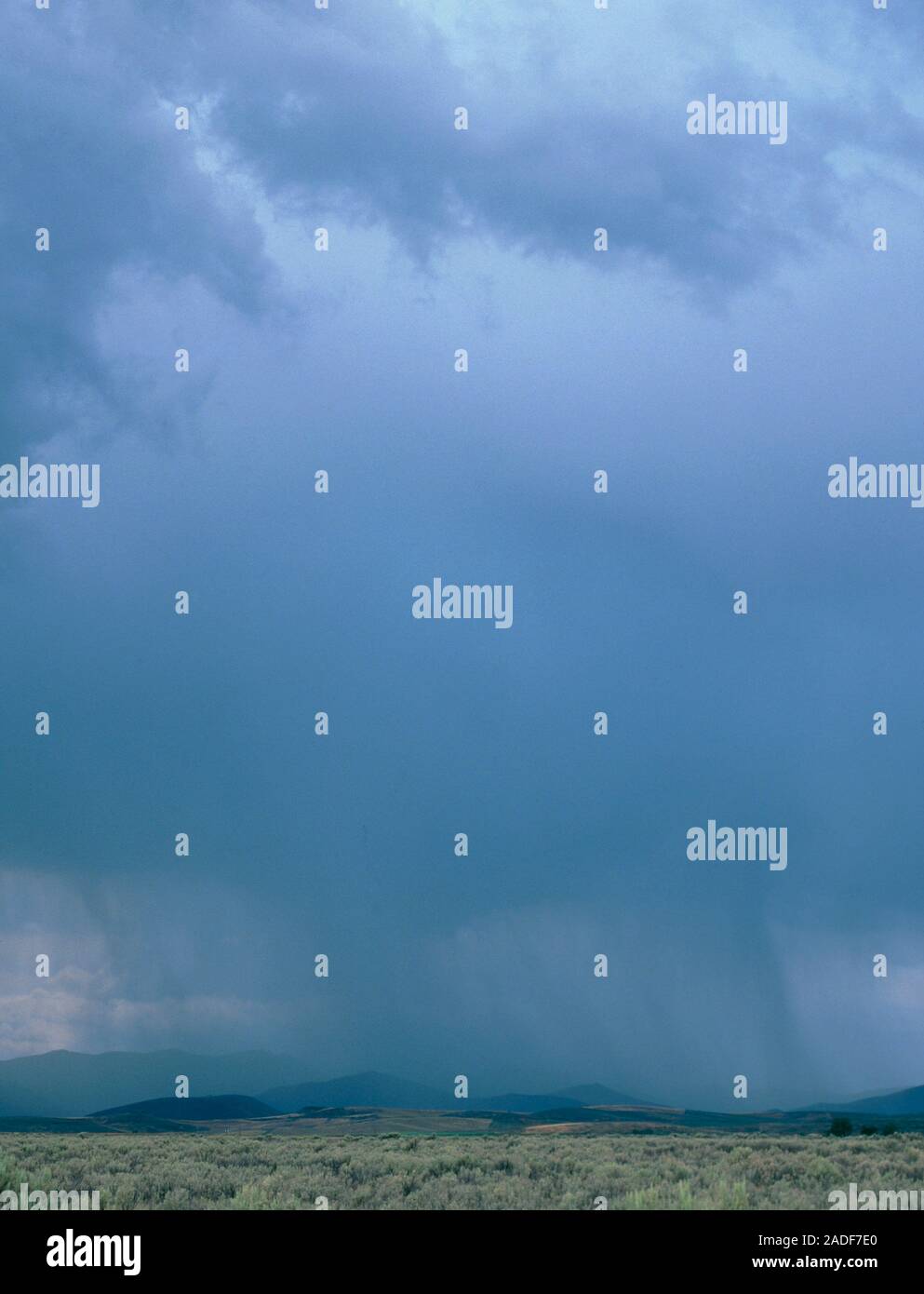 Rain storm. A broad column of rain descending from nimbostratus clouds ...