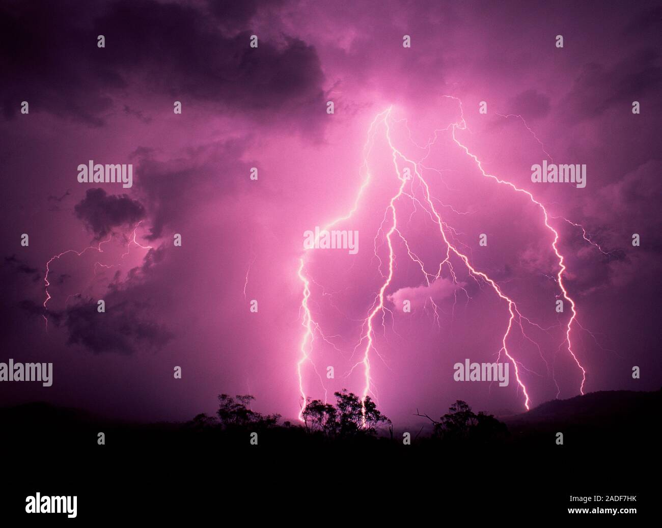 Not for retail poster use Lightning. Multiple lightning bolts striking ...