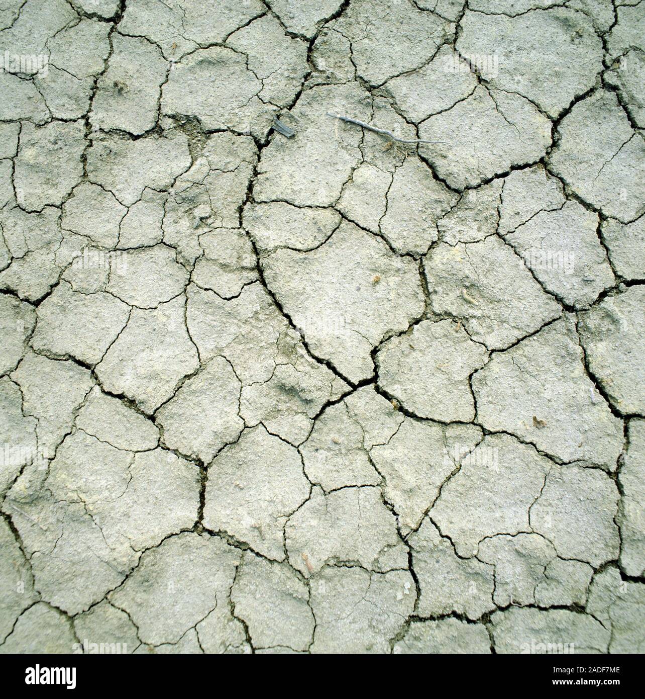 Dried mud of a river bed Stock Photo - Alamy