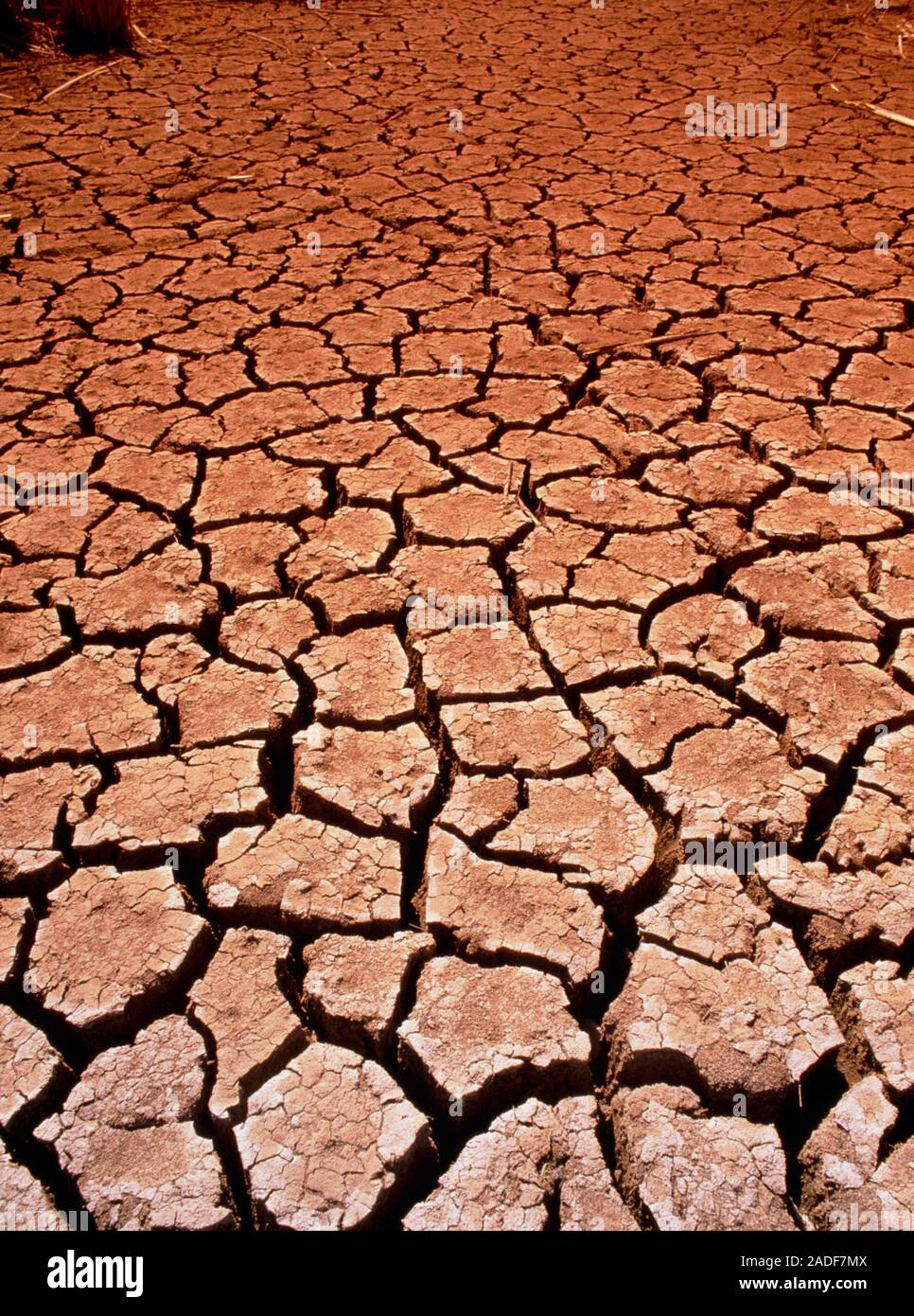 Mud cracking during a drought Stock Photo - Alamy