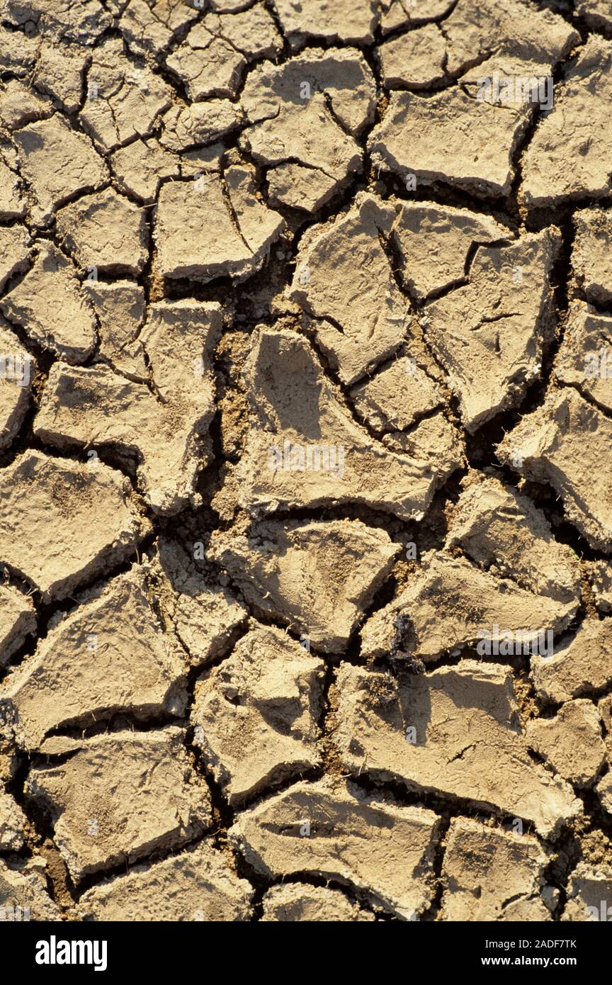 Dried mud, forming a pattern of cracks Stock Photo - Alamy