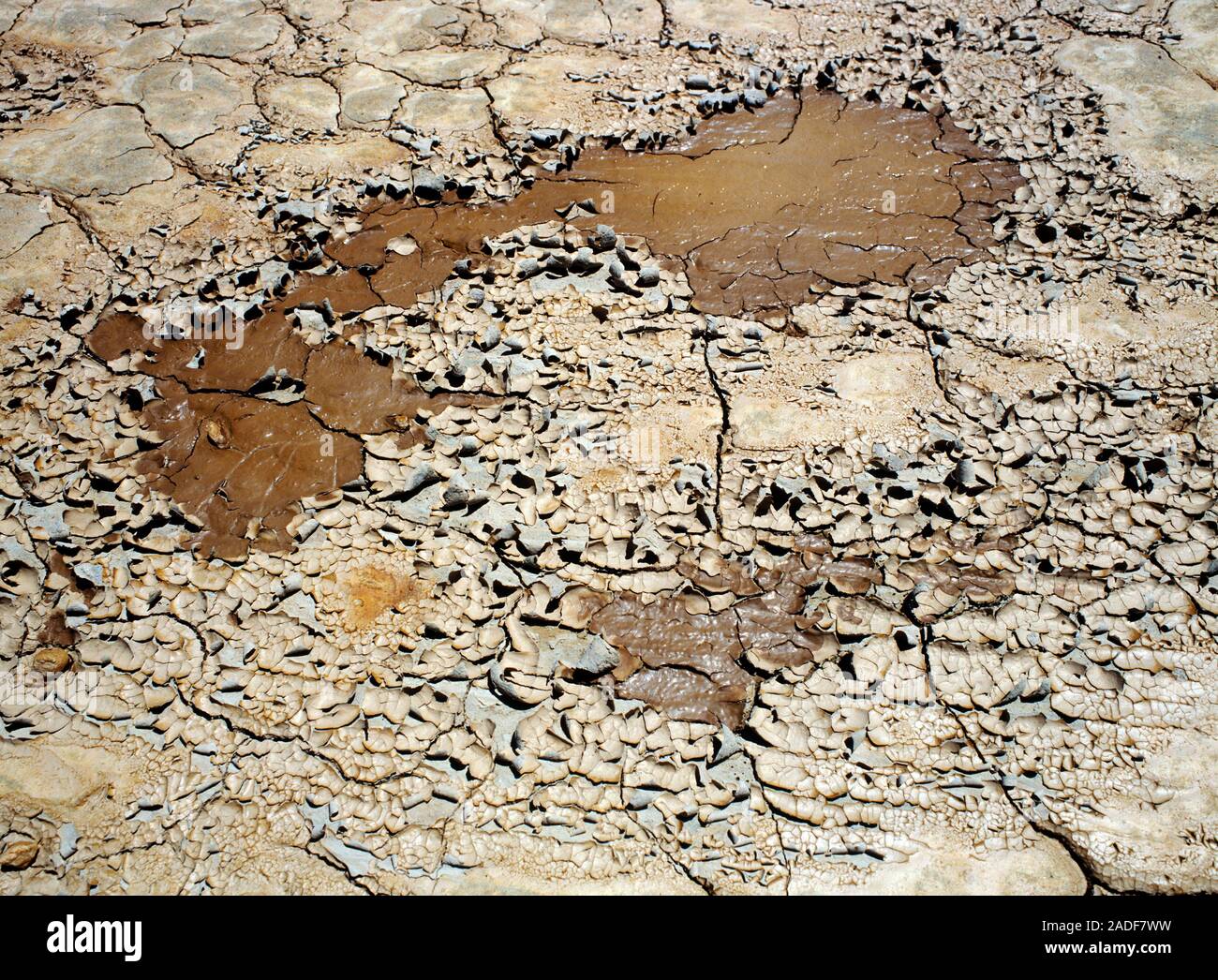 Cracked mud. Dry, cracked mud in a dry desert lake bed. Photographed in ...