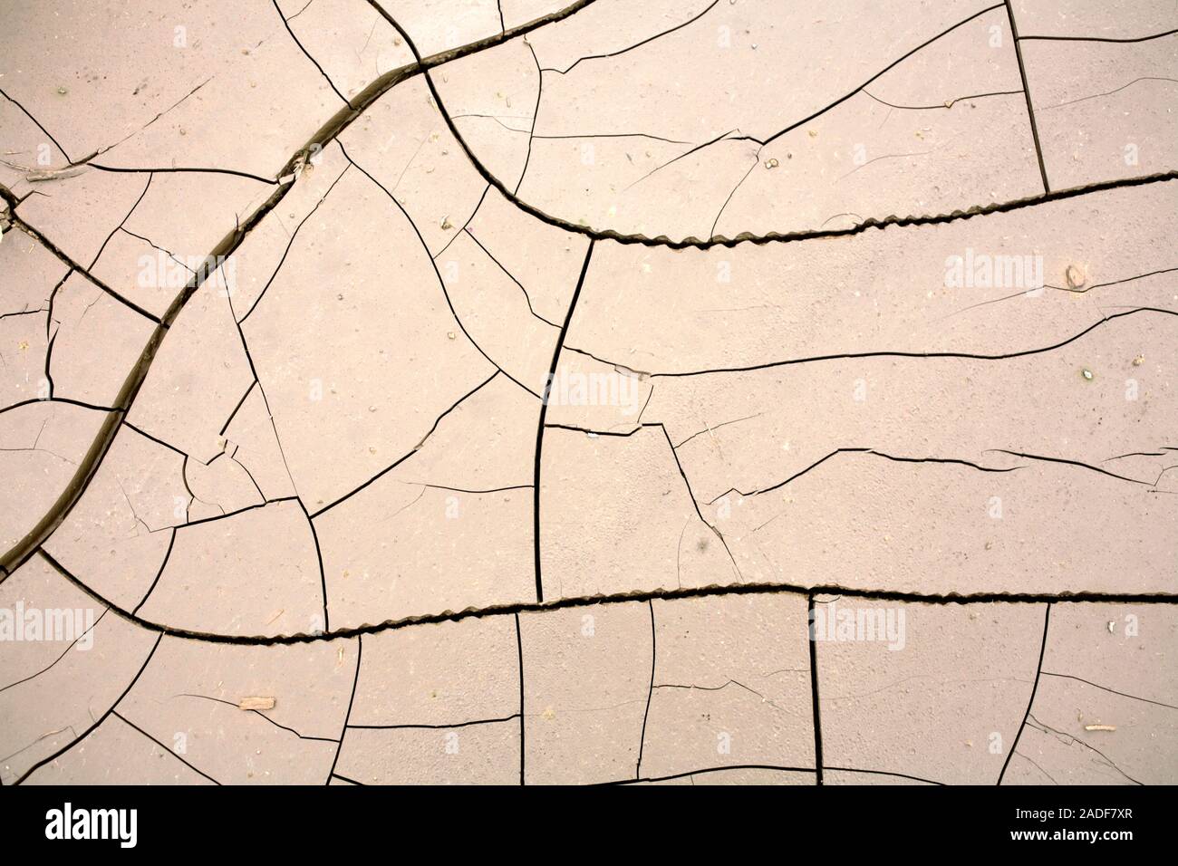 Cracked mud. Cracks forming in drying mud. Photographed in the Inter ...