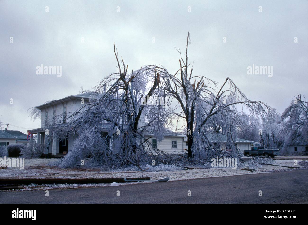 Ice storm damage. Trees with broken and fallen branches caused by an ...