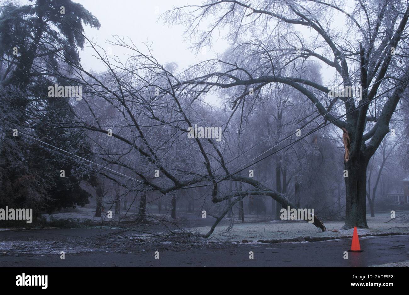 Ice storm damage. Power lines damaged by a branch that fell during an ...
