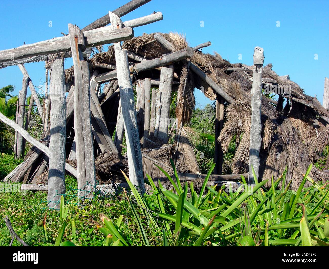 Hurricane aftermath. Destruction of a wooden house after a hurricane ...