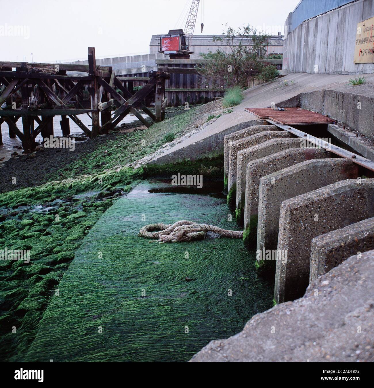 Storm drain outlets. These receive water from the storm drains that ...