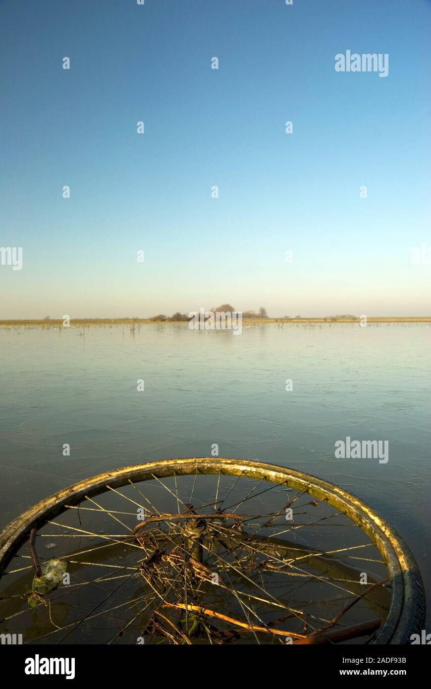Flooded field and a bicycle wheel. This is the Earith floods, part of ...
